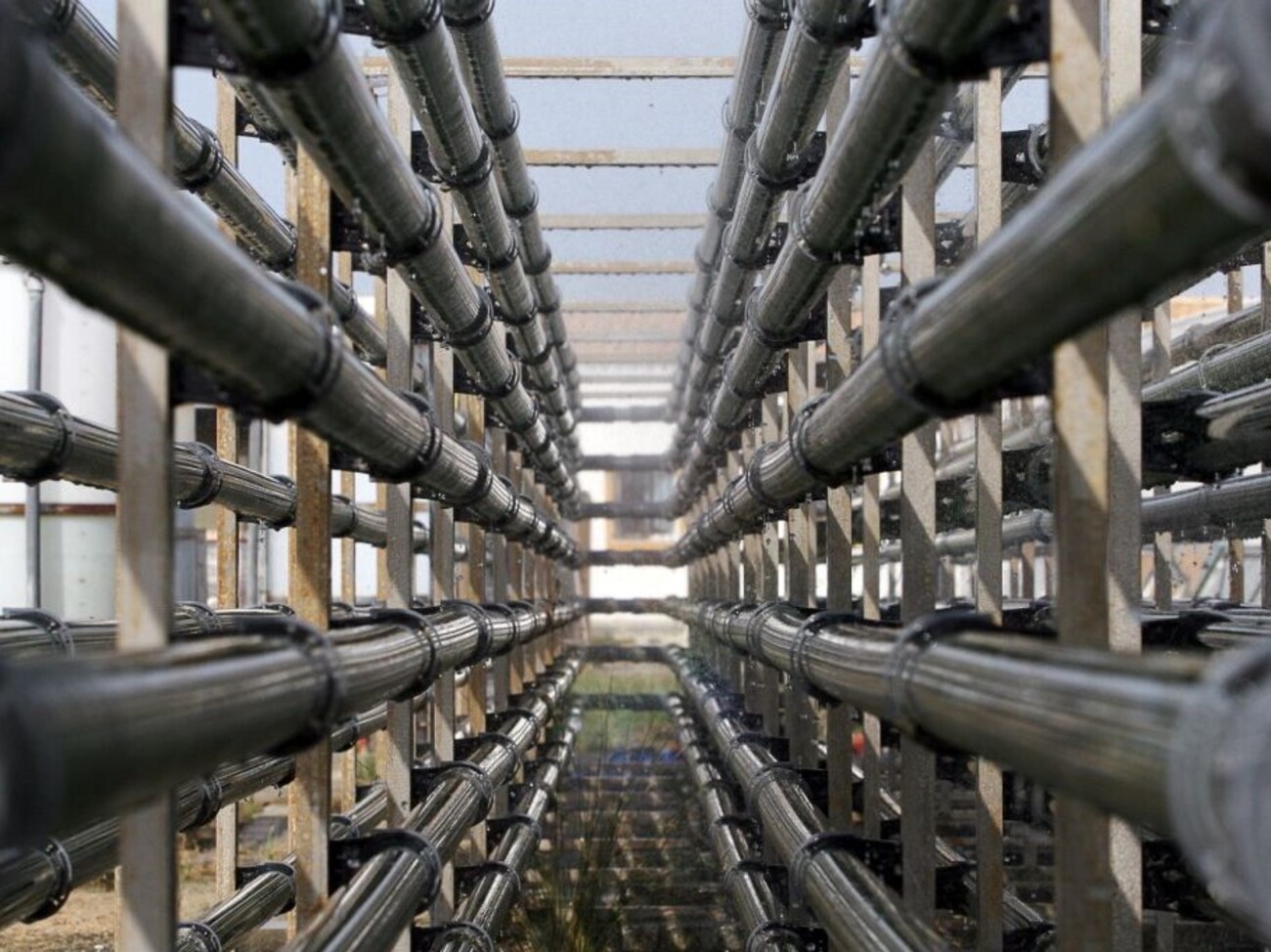 Necton - Companhia Portuguesa de Culturas Marinhas S.A. - Algae Vertical