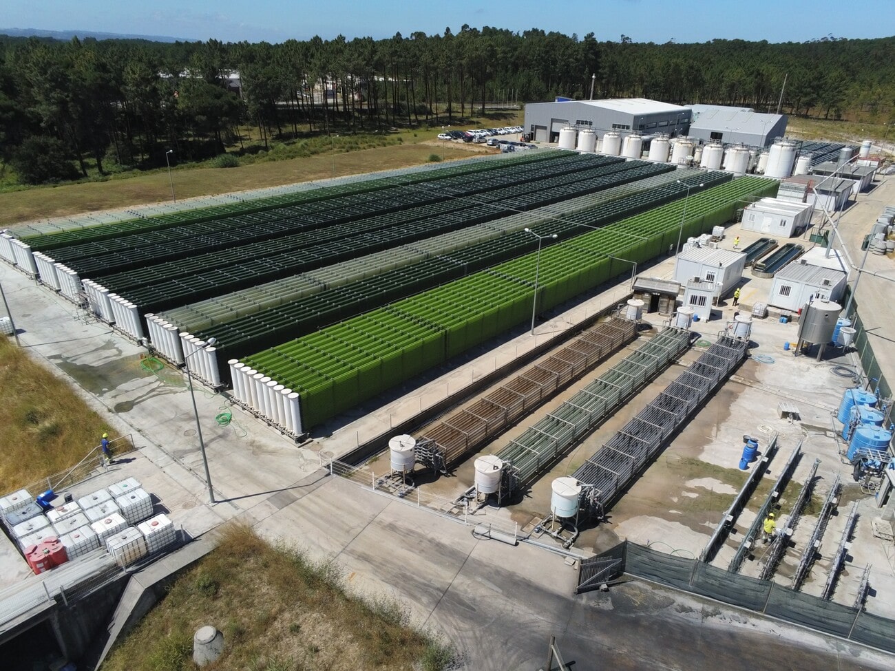 ALLMICROALGAE - Algae Vertical