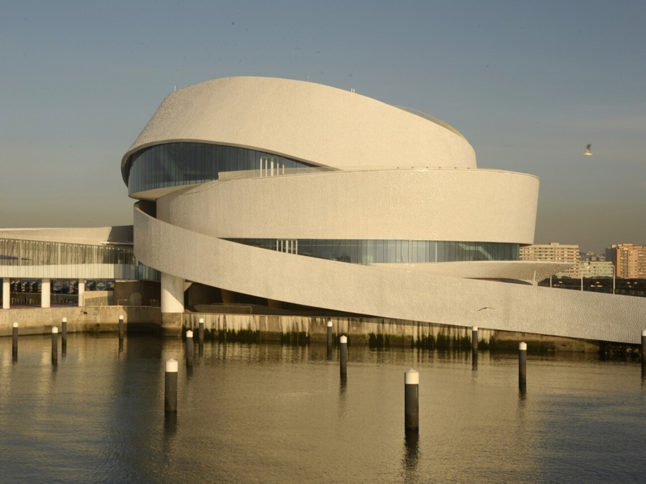 CIIMAR - Algae Vertical