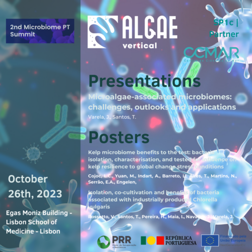 Pioneering Sustainability and Innovation in the Algae Sector - Algae Vertical